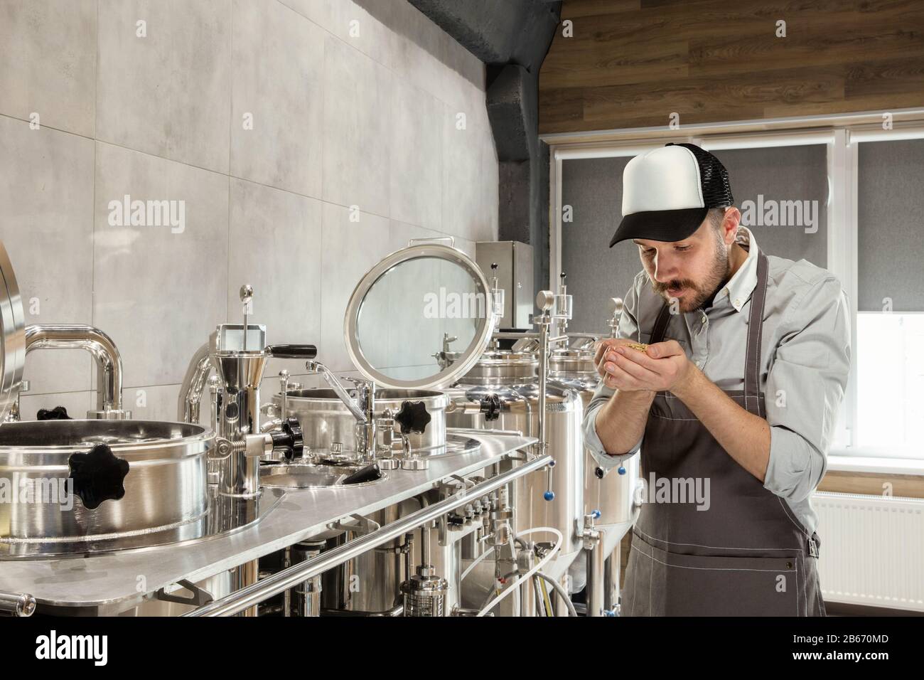 Professional brewer on his own craft alcohol production. Specialist ...
