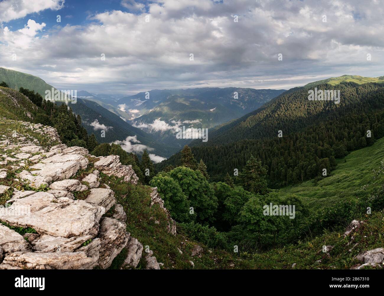 Great view from the mountain peak on rocky cliff with forest and fog ...
