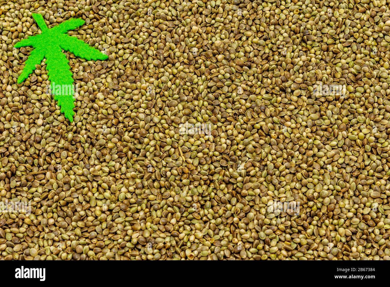 Hemp seeds background. Felt hemp leaf, trend food, medicine and beauty ...