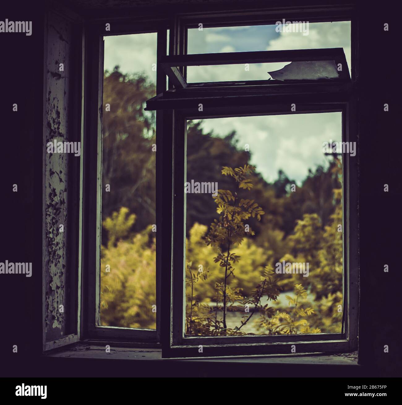 Defocus horror halloween background. Close-up of a broken window in an ...