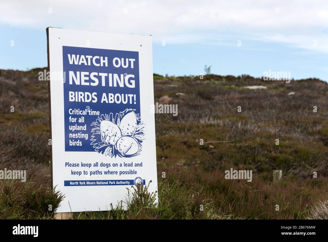 Birds nesting warning sign on hi-res stock photography and images - Alamy