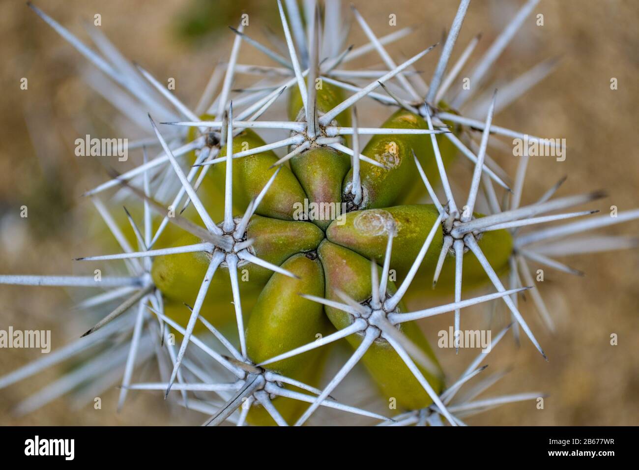 Above angle view hi-res stock photography and images - Alamy