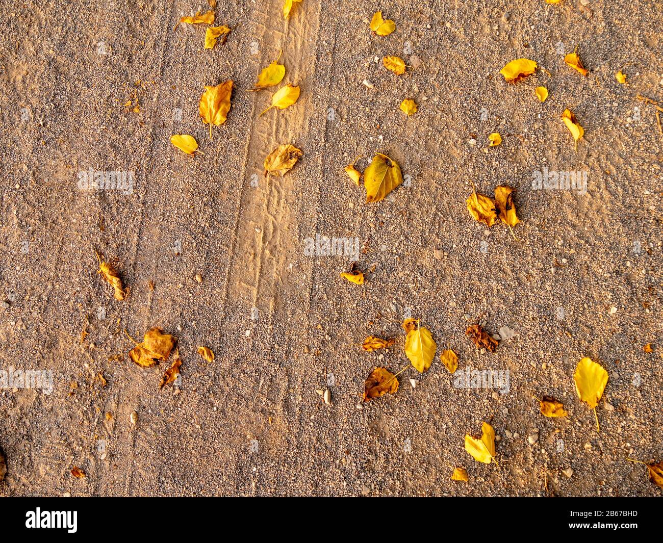 Dry leaf surface texture hi-res stock photography and images - Alamy