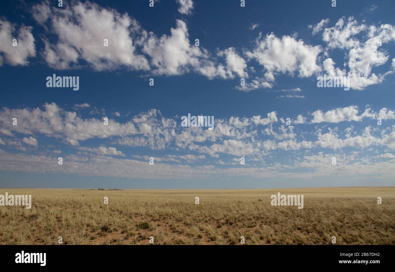 Bushmanland hi-res stock photography and images - Alamy