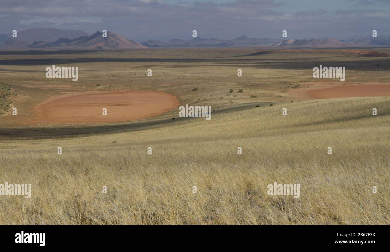 Bushmanland hi-res stock photography and images - Alamy