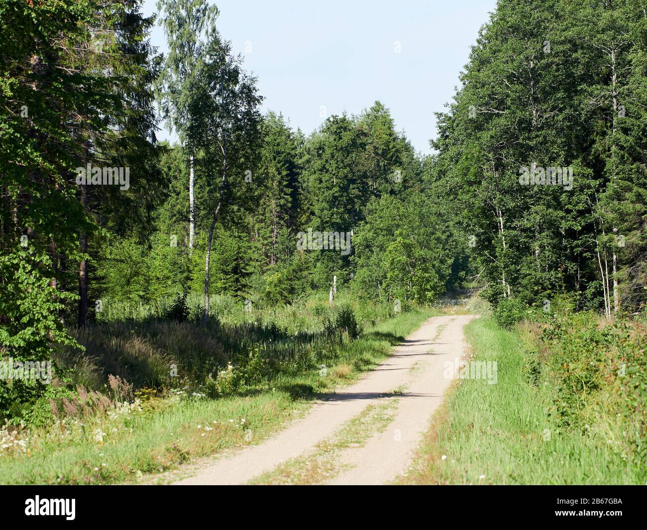 Rural countryside road on a warm summer day in estonia Stock Photo - Alamy