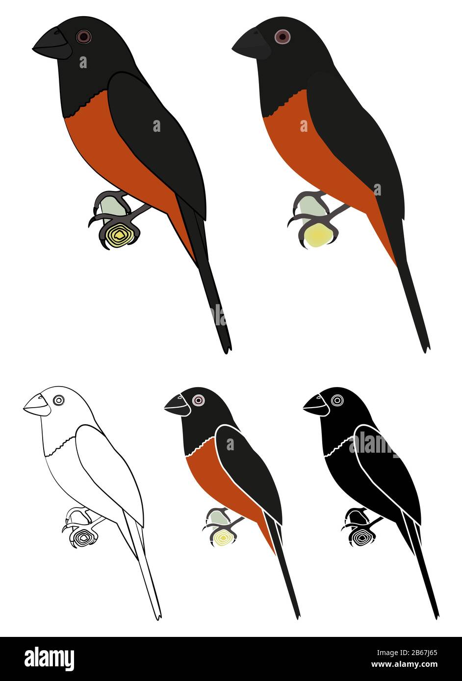 Curio logo Stock Vector Images - Alamy