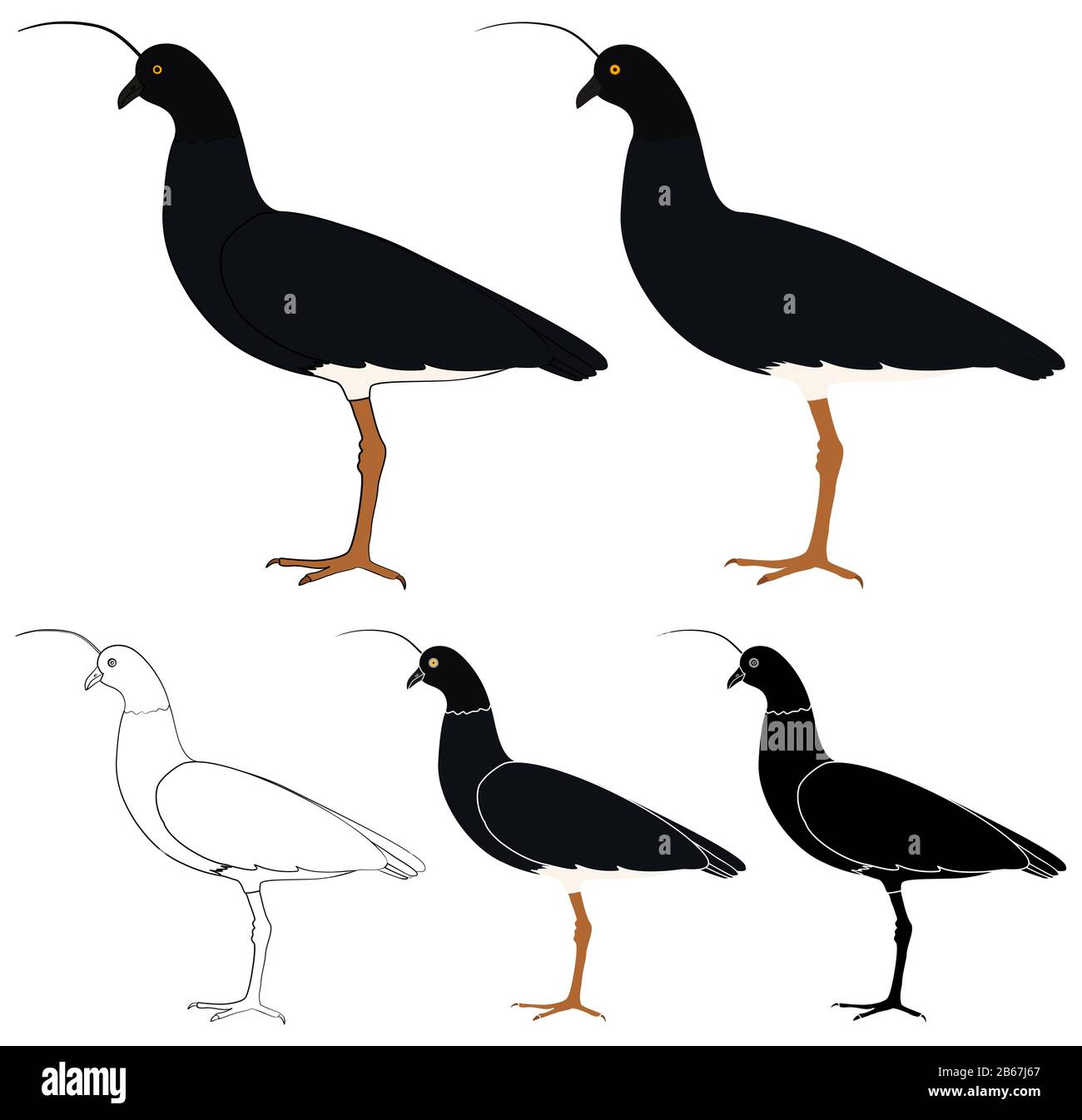 Screamer pantanal Stock Vector Images - Alamy