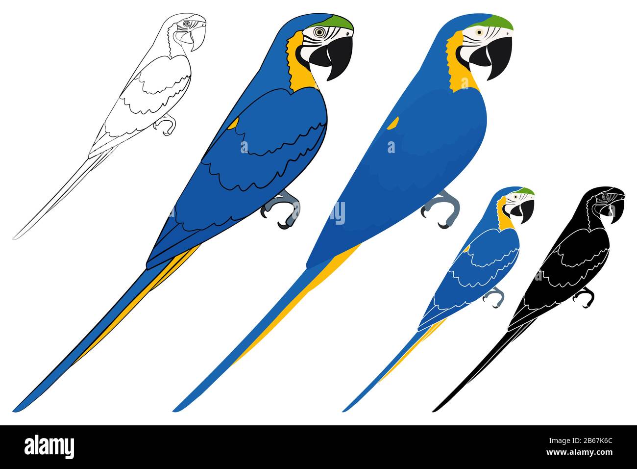 Arara Stock Vector Images - Alamy