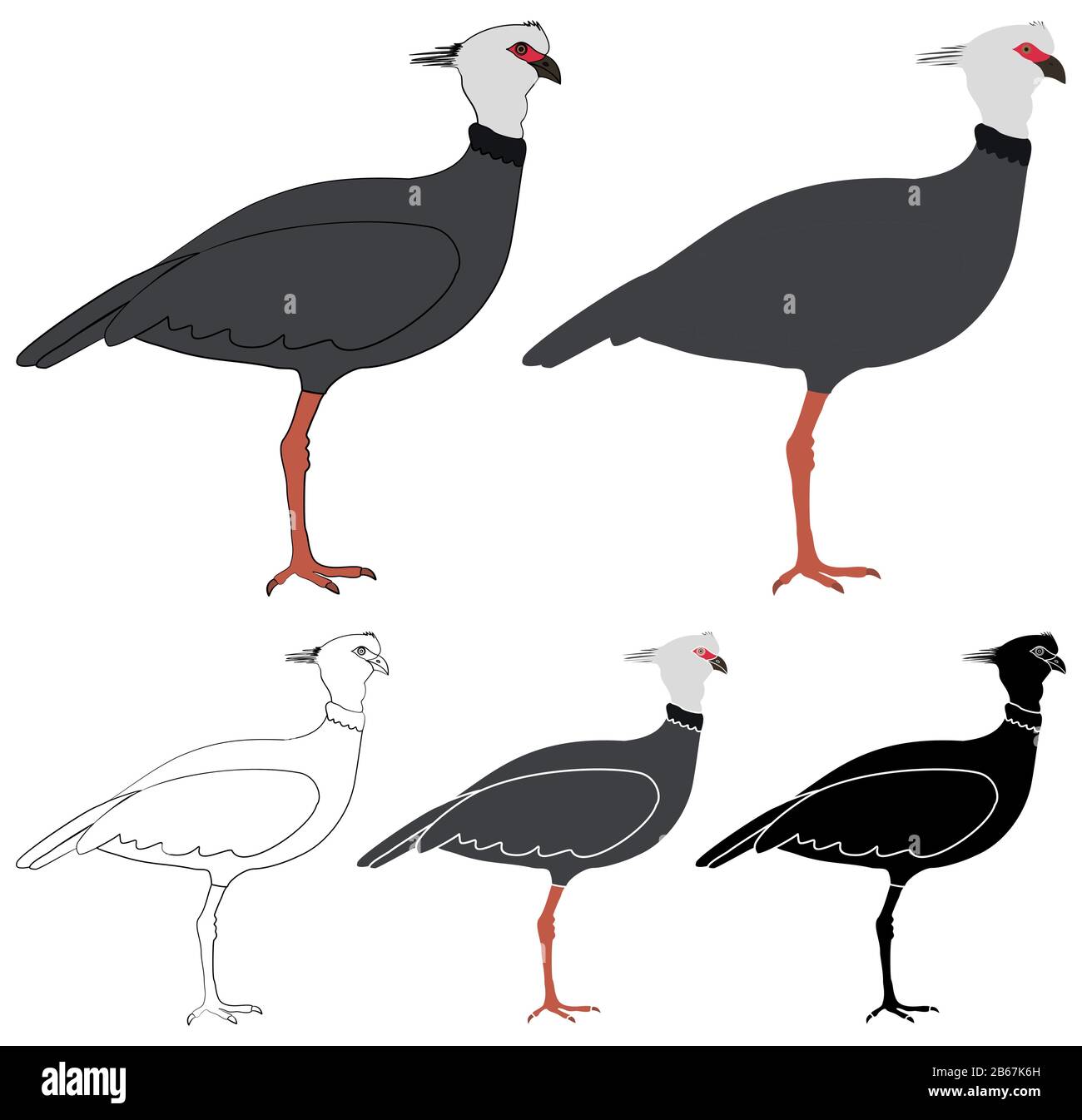 Southern screamer Stock Vector Images - Alamy