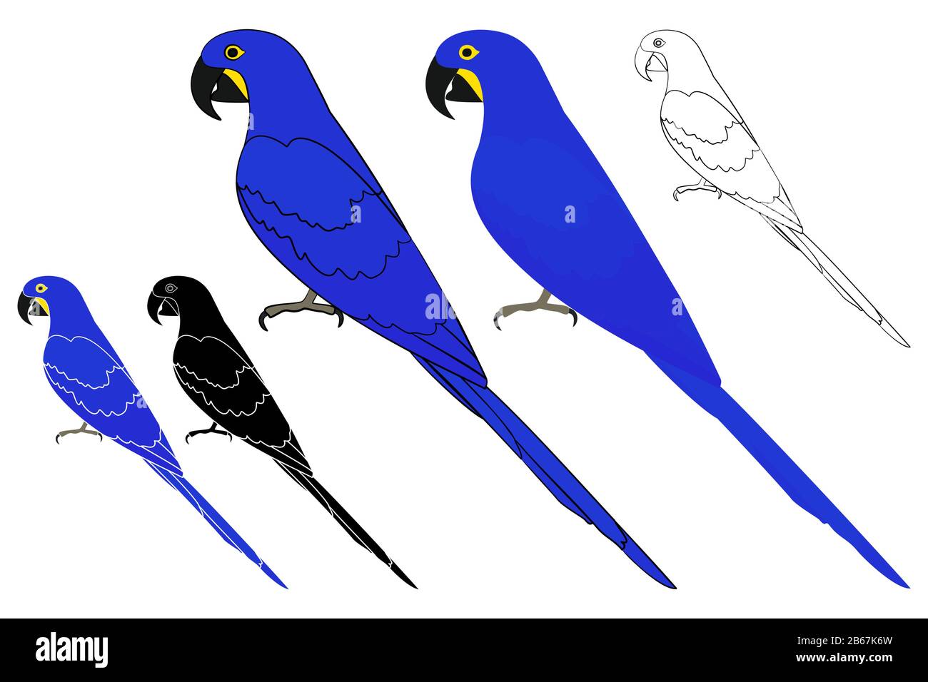 Arara azul Stock Vector Images - Alamy