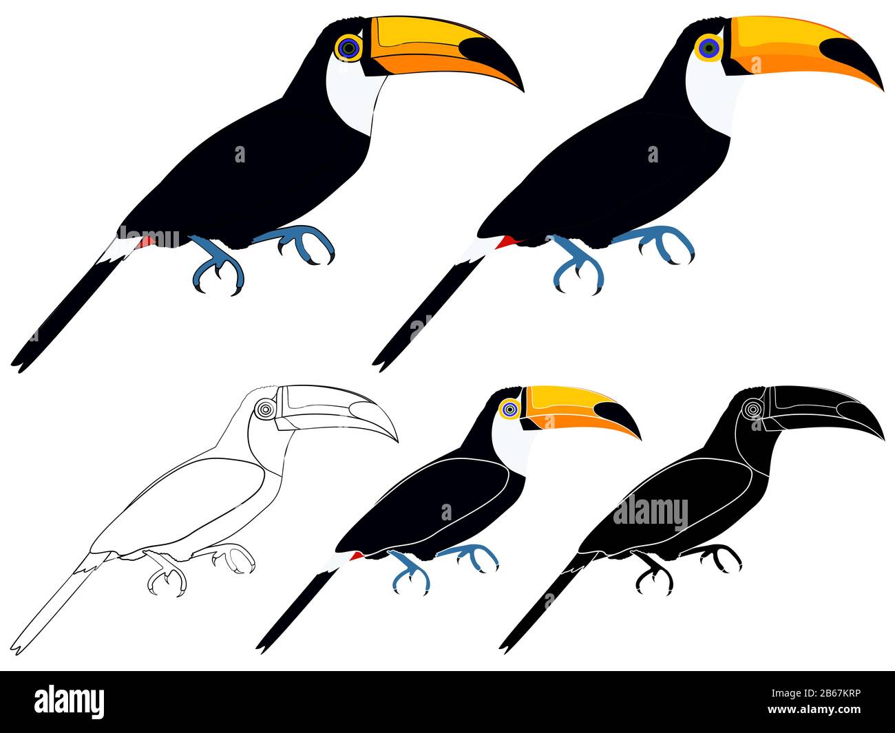 Toco toucan Stock Vector Images - Alamy