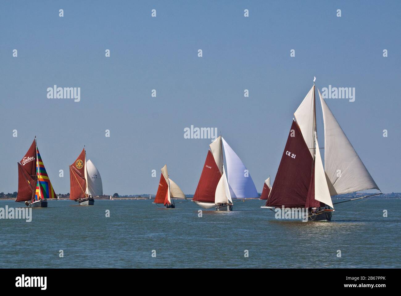 Essex sailing smack CK21 Maria, and other smacks, in full sail Stock ...