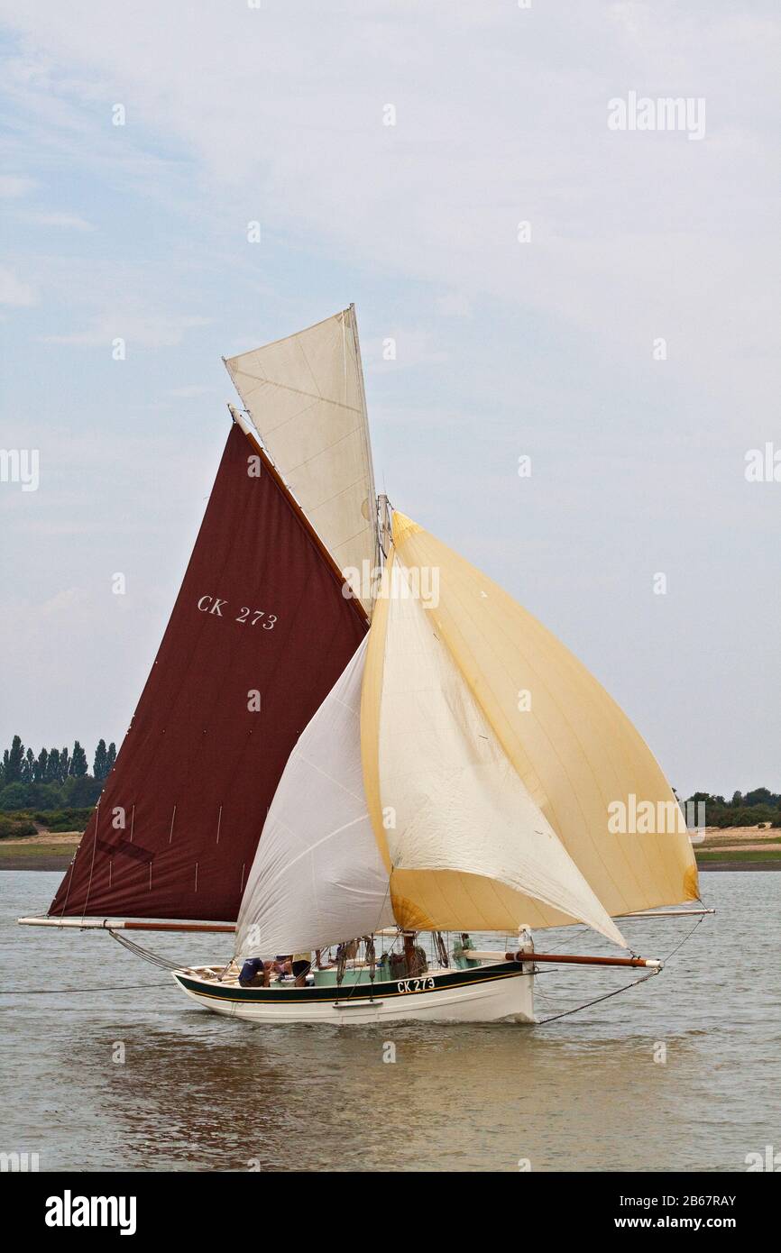 Essex Oyster smack CK273 Primrose, under full sail Stock Photo - Alamy