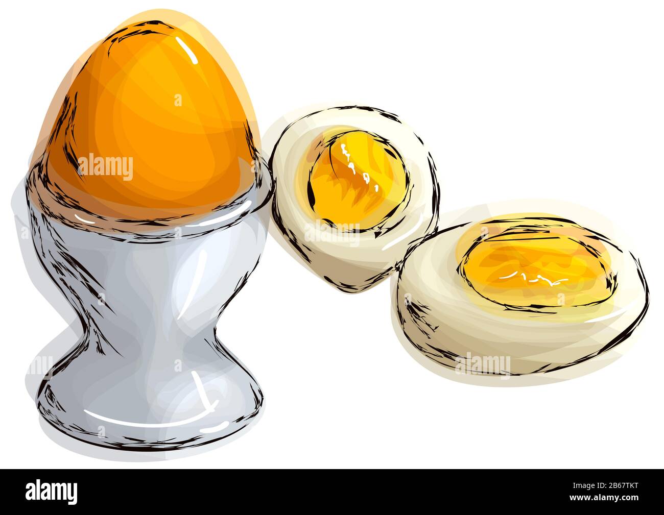 boiled egg, illustration of boiled egg isolated on white background ...