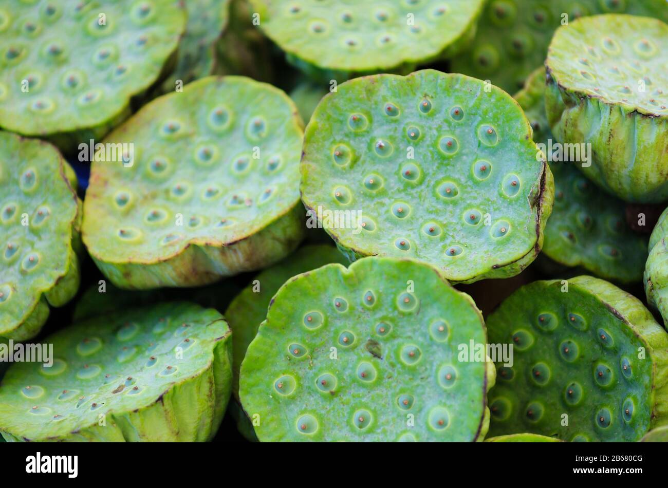 Pile of green lotus seed head with lotus seeds Stock Photo - Alamy