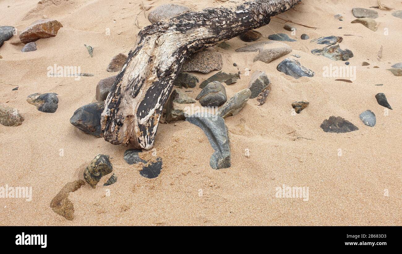 Debris washed up on seashore Stock Photo - Alamy
