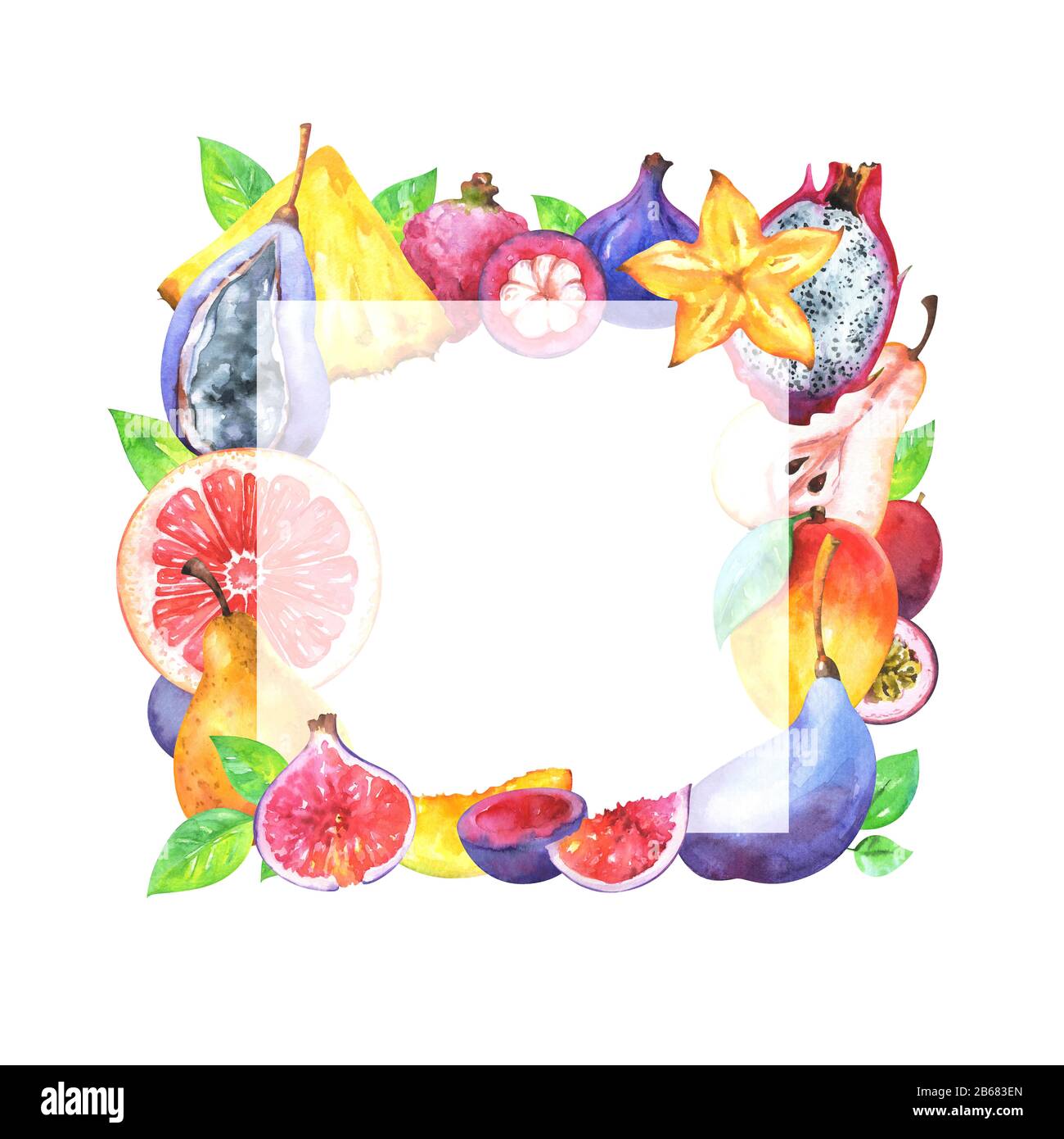 Hand painted square fruit frame Stock Photo - Alamy