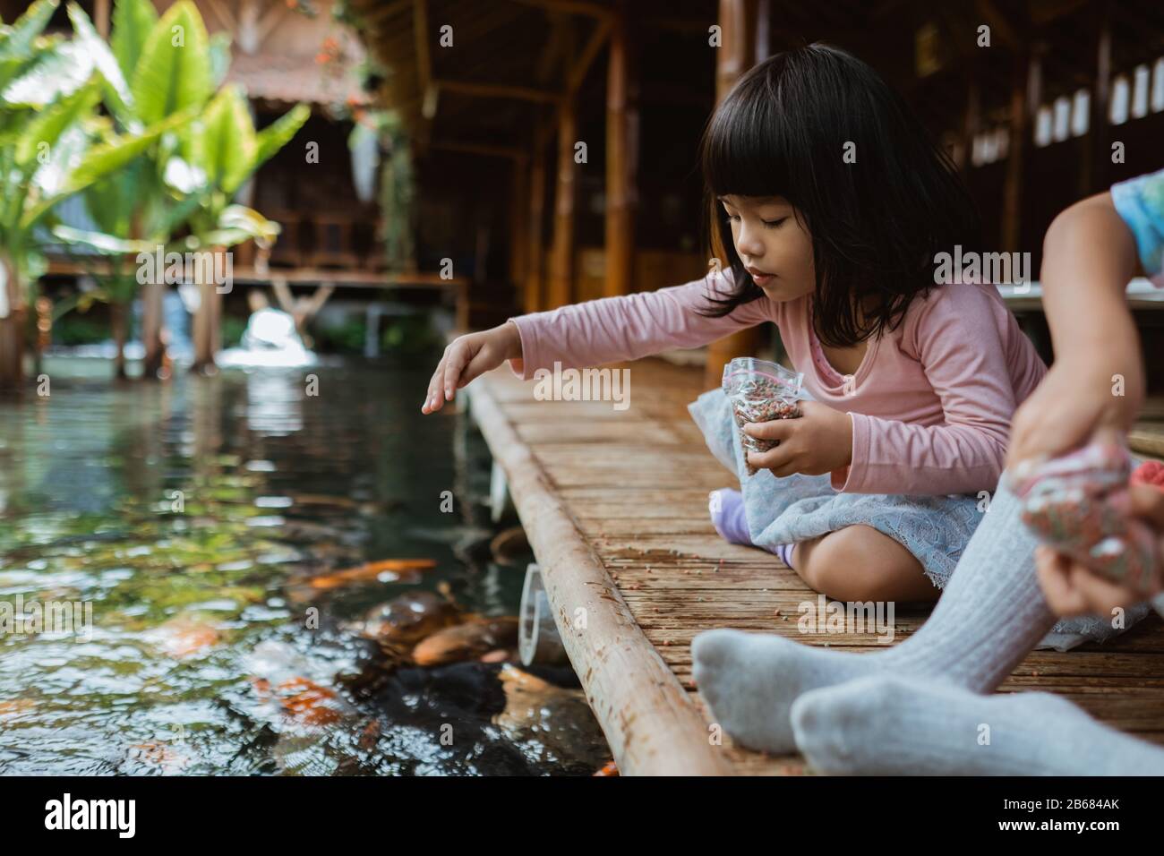 Kid Feeding Fish High Resolution Stock Photography and Images - Alamy