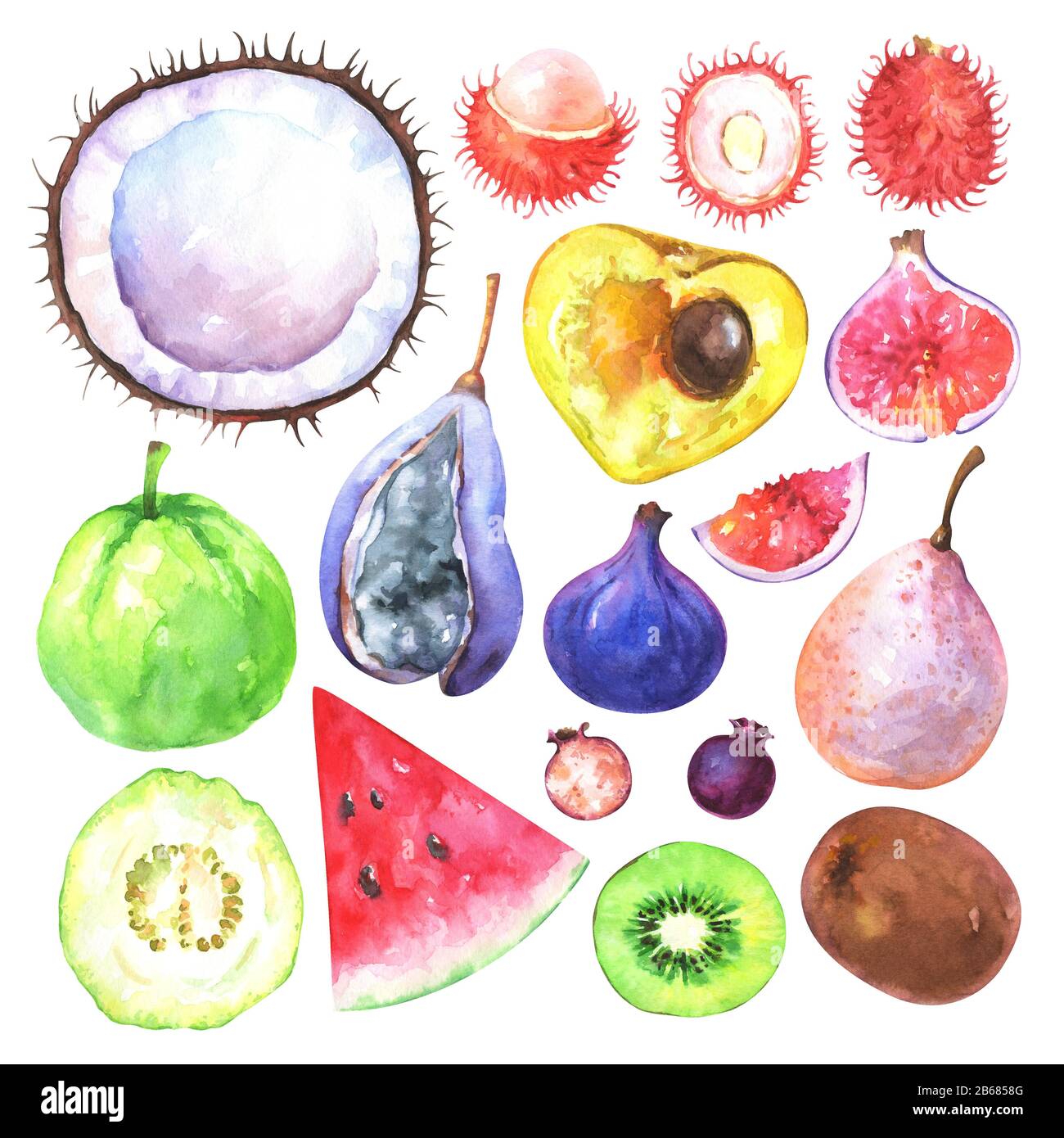 Hand painted exotic fruit set Stock Photo - Alamy