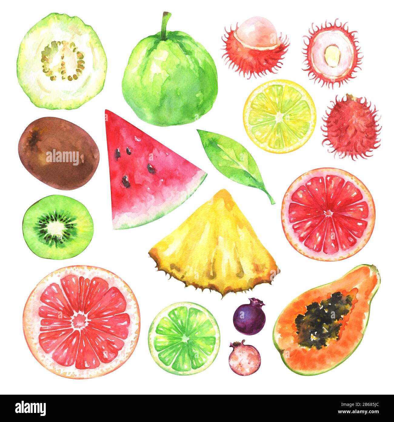 Hand painted exotic fruit set Stock Photo - Alamy