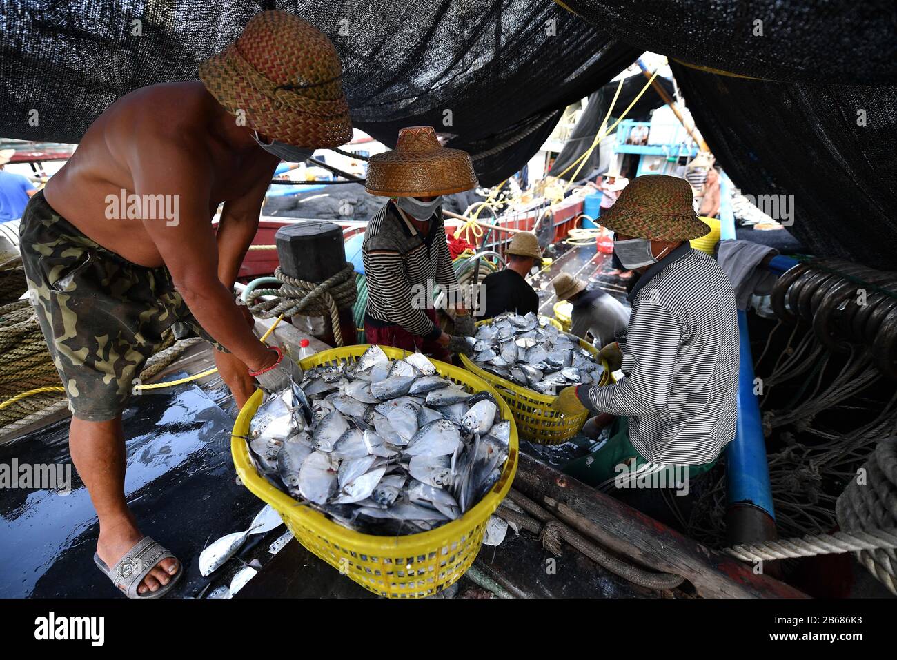 Sanya, China's Hainan Province. 10th Mar, 2020. Fishermen unload fish ...