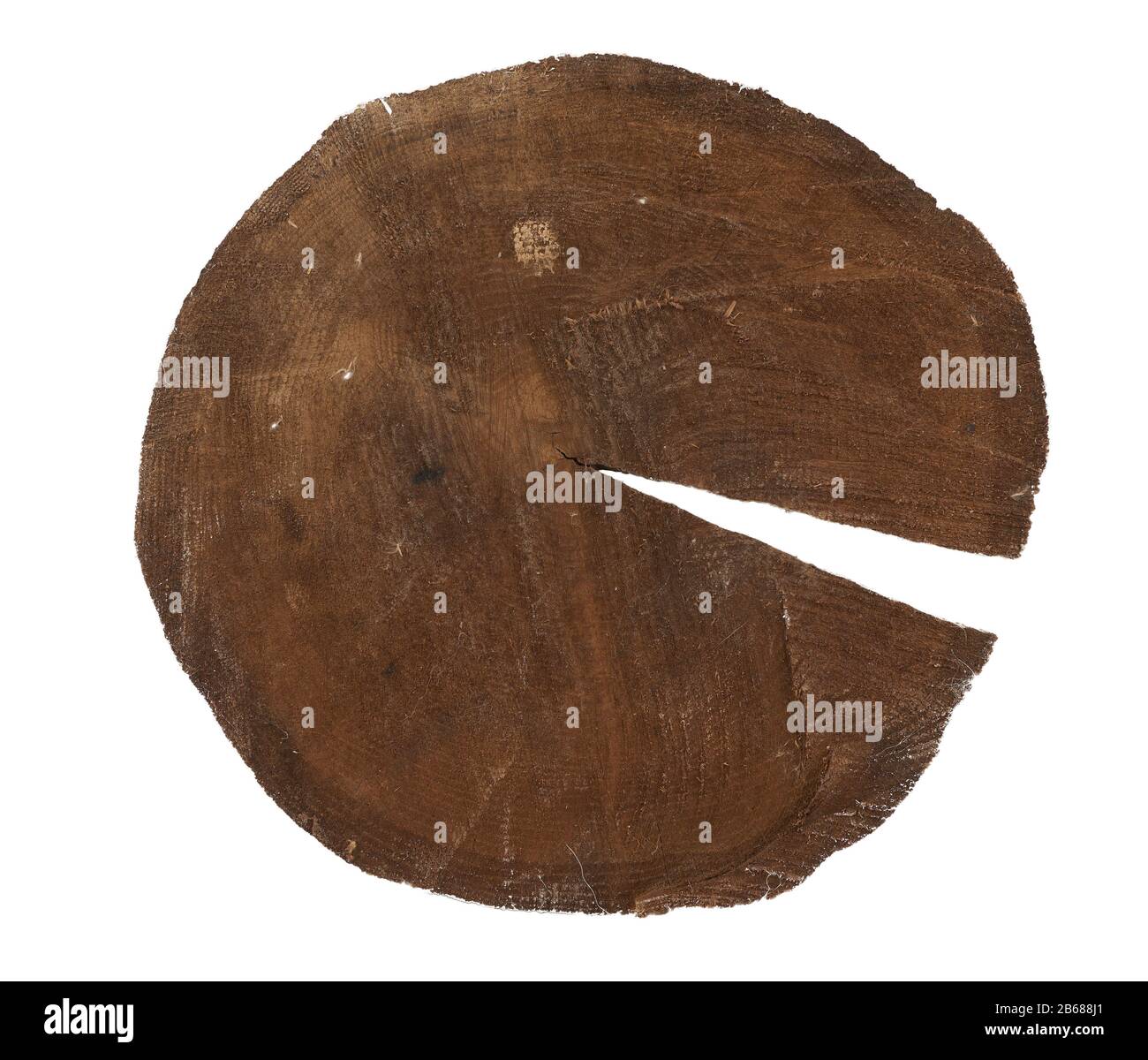 tree trunk cut isolated on a white background, close up Stock Photo - Alamy