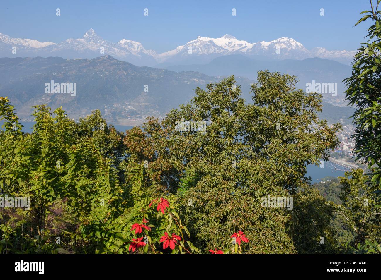 View at the Himalayan range over Pokhara in Nepal Stock Photo - Alamy