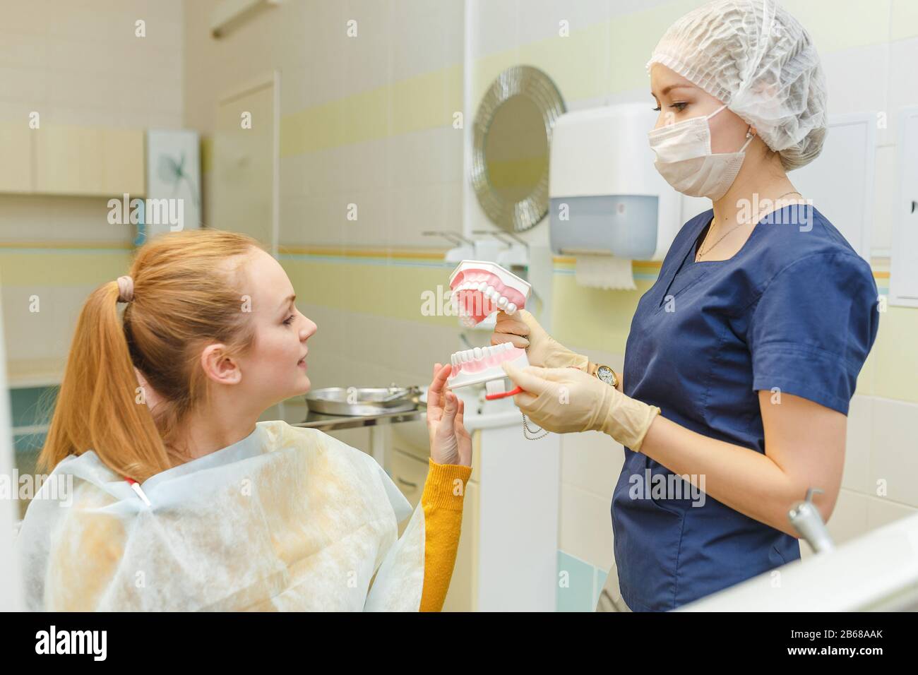 Dentist showing a model of teeth and jaw to her patient in stomatology ...