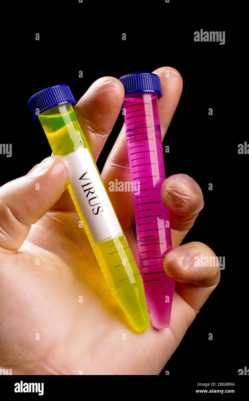 Yellow and pink glowing liquids in the test tube with text VIRUS ...