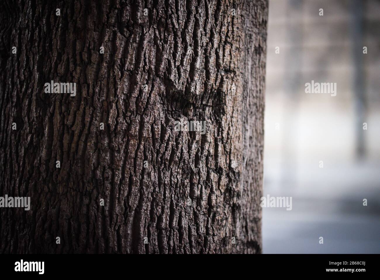 abstract wall close up view - wallpaper design Stock Photo - Alamy
