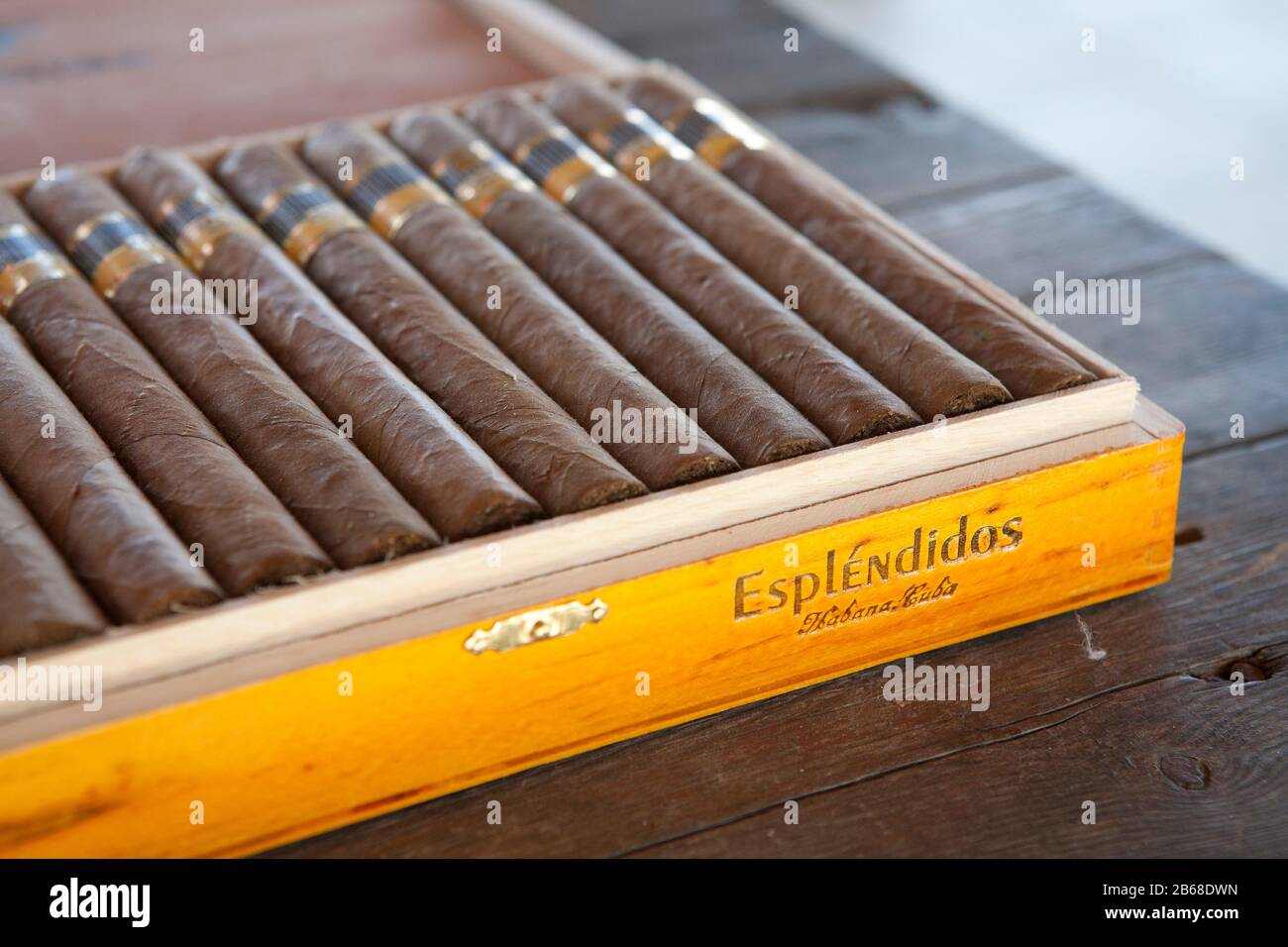 Cuban cigars box hi-res stock photography and images - Alamy