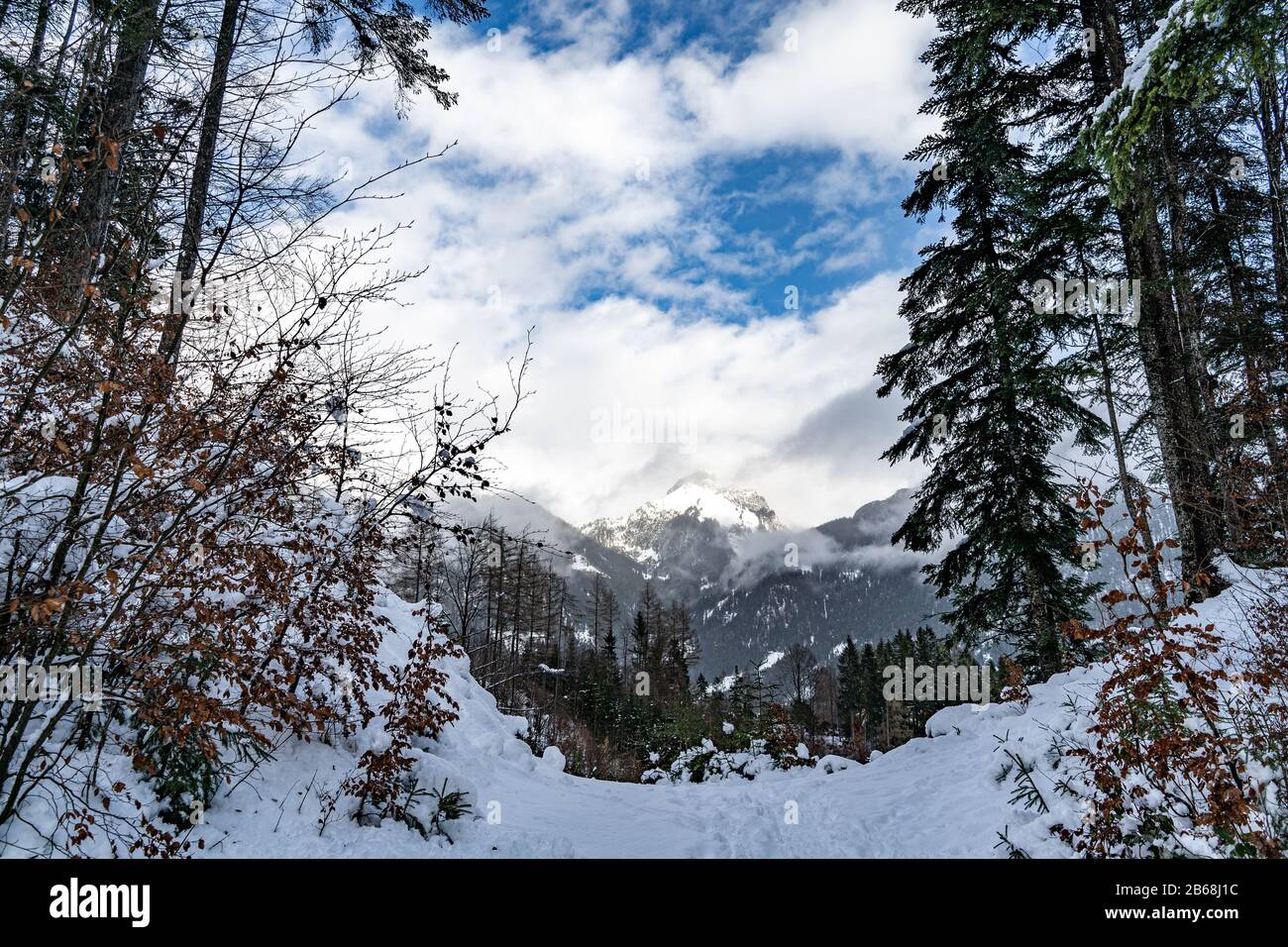 Austrian Landscape with mountains Stock Photo - Alamy