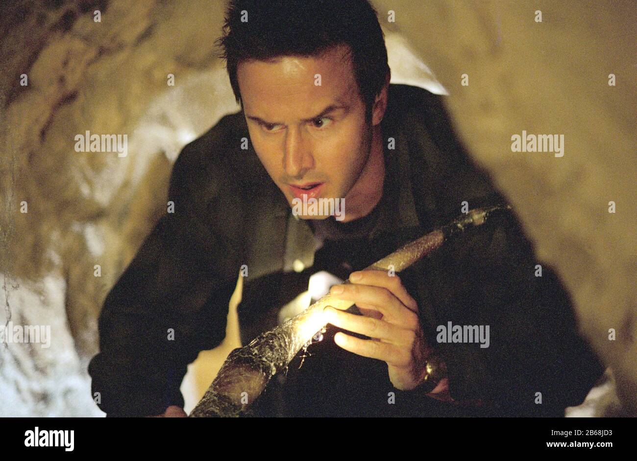 eight legged freaks Stock Photo - Alamy