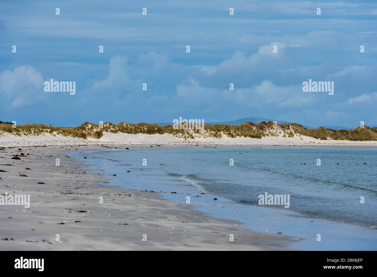 Pebble island, Falkland Islands Stock Photo - Alamy