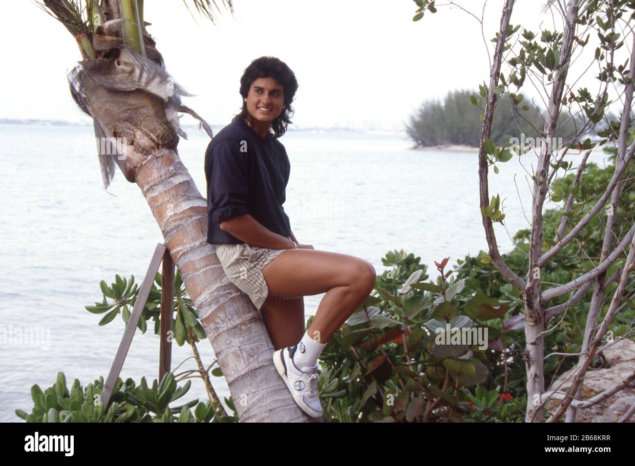 Sabatini 1988 hi-res stock photography and images - Alamy