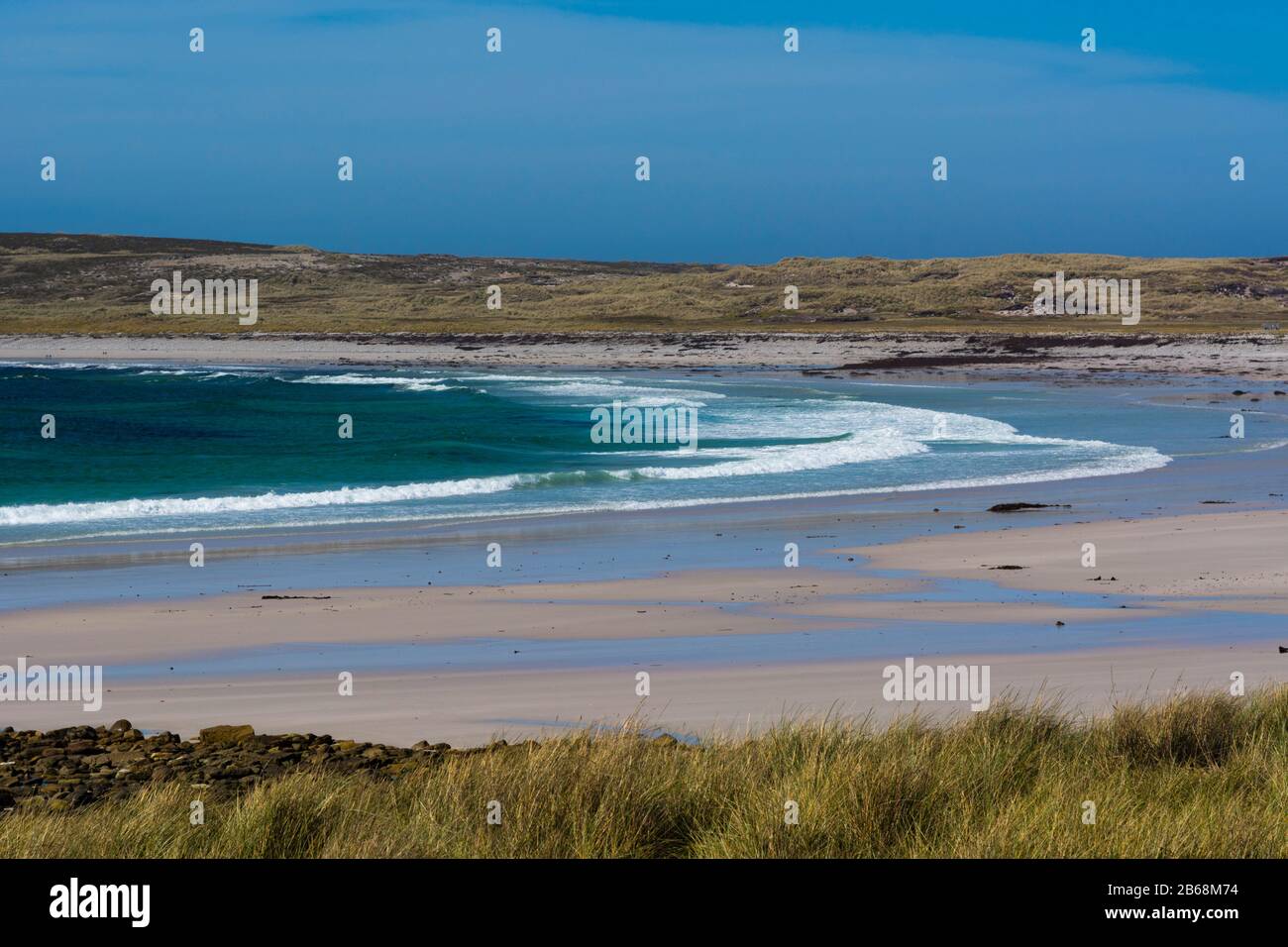 The coastline of Cape Dolphin Stock Photo - Alamy