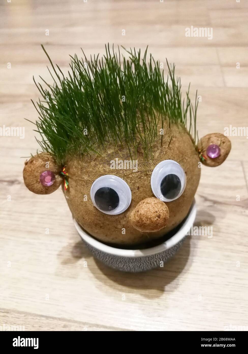 Growing grass hairs toy hi-res stock photography and images - Alamy