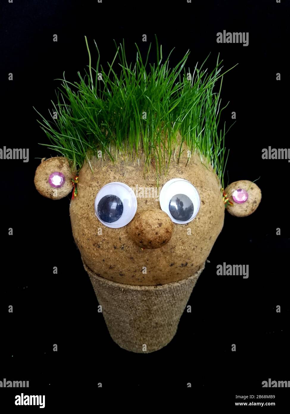 Growing grass hairs toy hi-res stock photography and images - Alamy