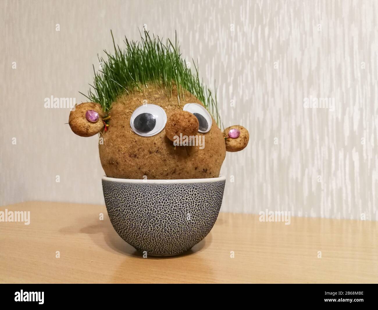 Growing grass hairs toy hi-res stock photography and images - Alamy