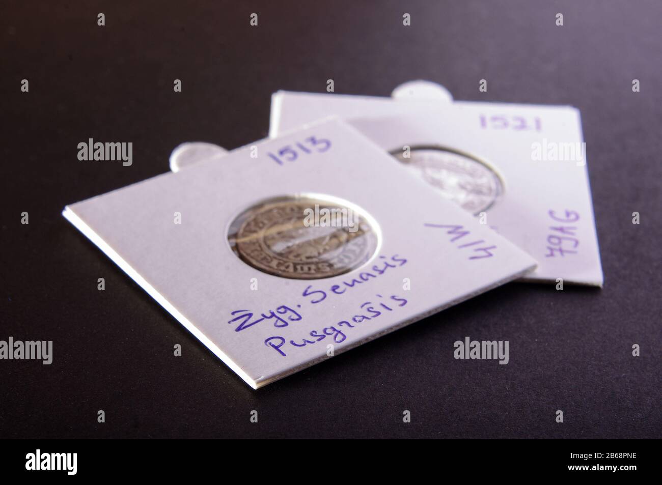 Professional paper sleeves for numismatics and ancient coins Stock ...