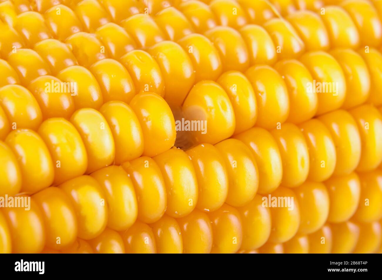 Corn rows abstract hi-res stock photography and images - Alamy