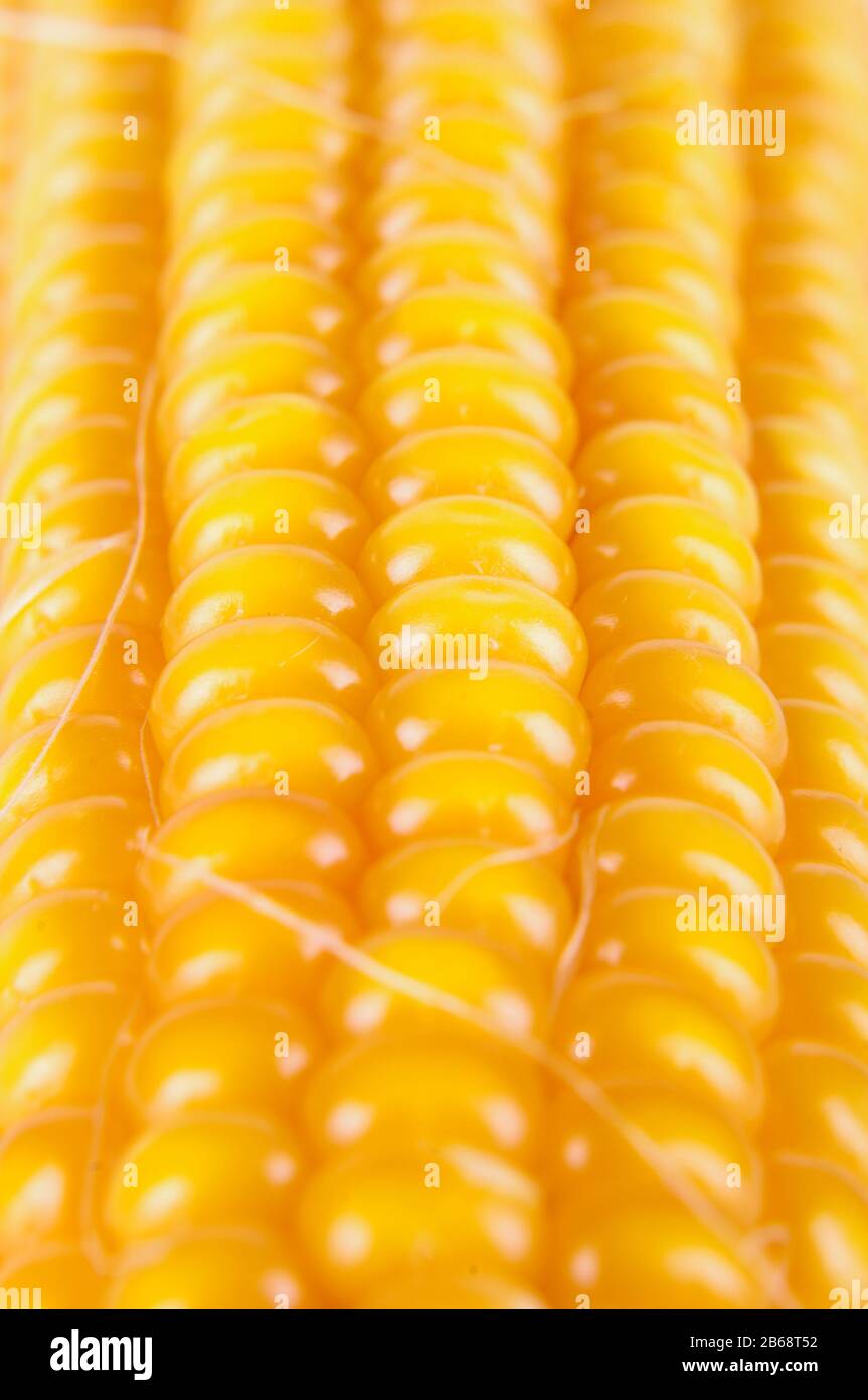 Macro close up of corn texture with many kernels Stock Photo - Alamy