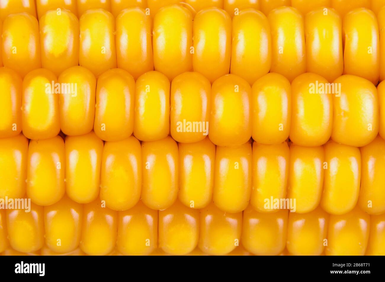 Macro close up of corn texture with many kernels Stock Photo - Alamy