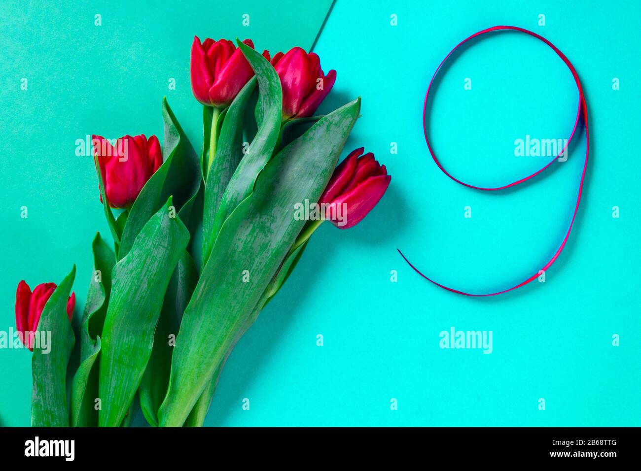 red silk ribbon shaped number nine, with tulips flower, festive ...