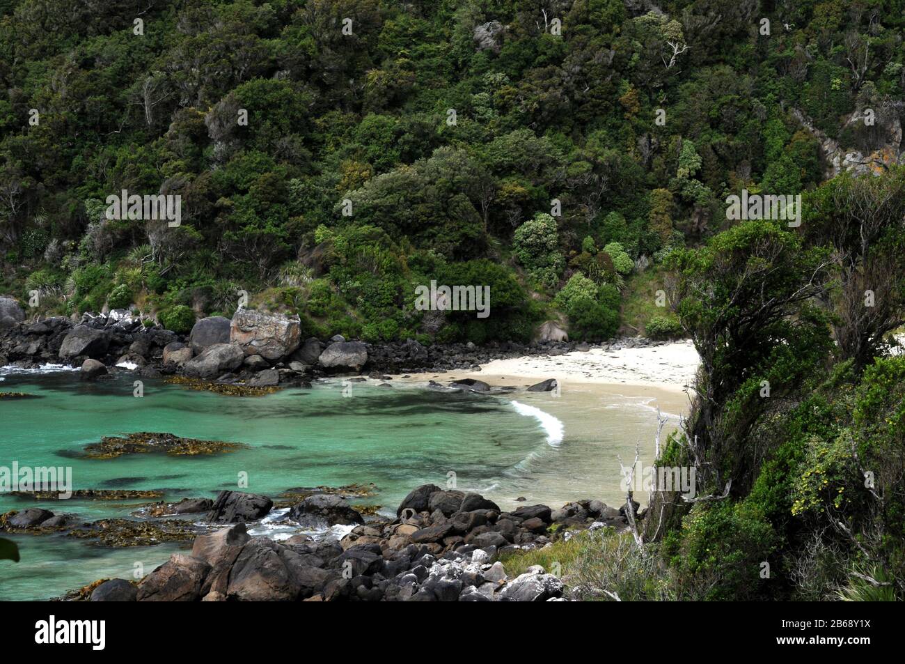 Visitor attraction stewart island hi-res stock photography and images ...
