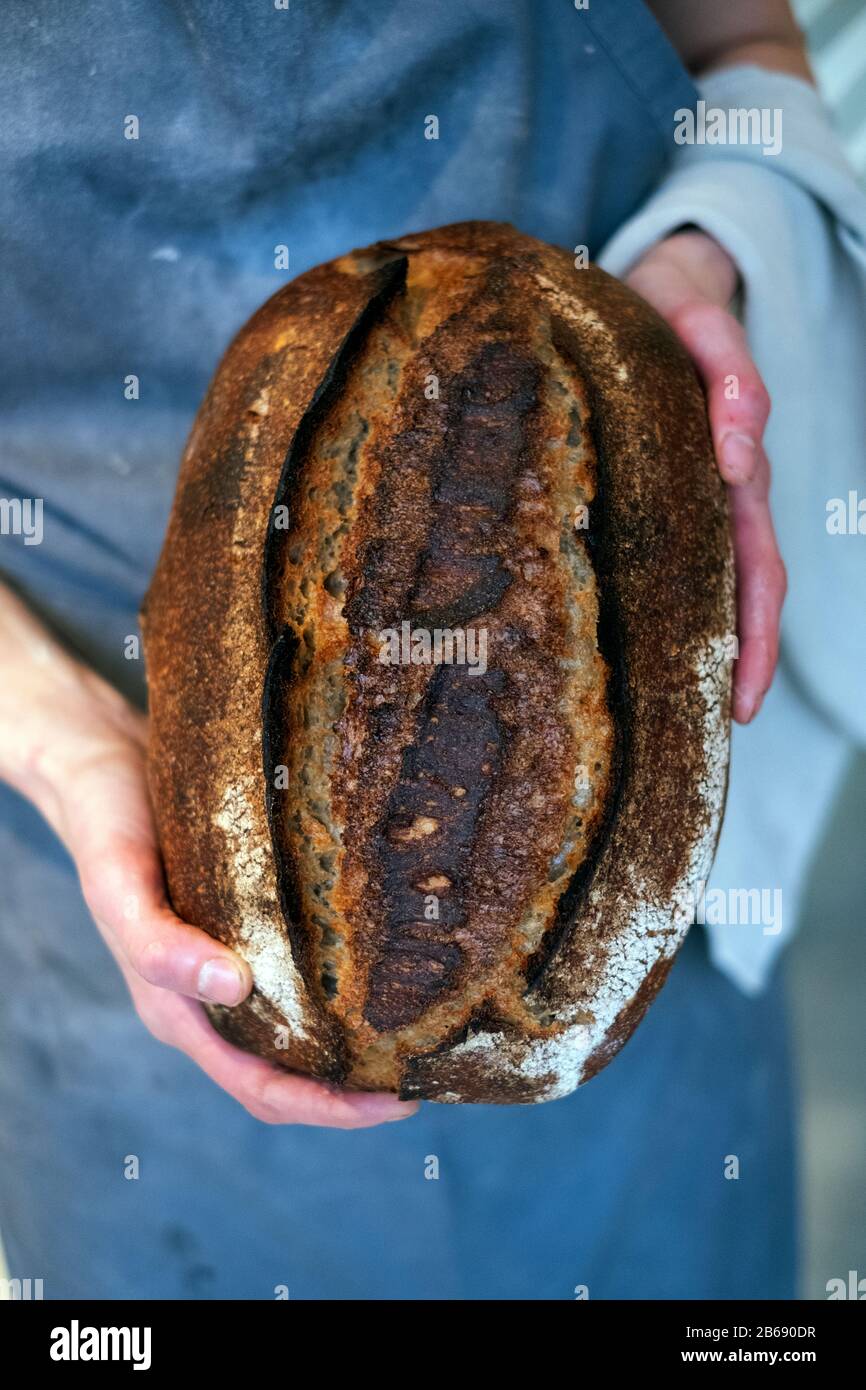 High angle close up of person holding freshly baked loaf of bread in an ...