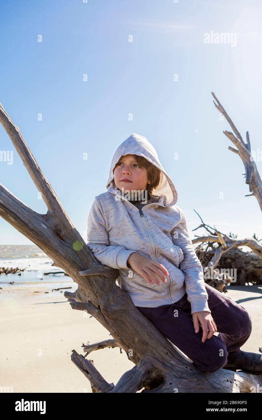 Climbing plant boy tree hi-res stock photography and images - Alamy