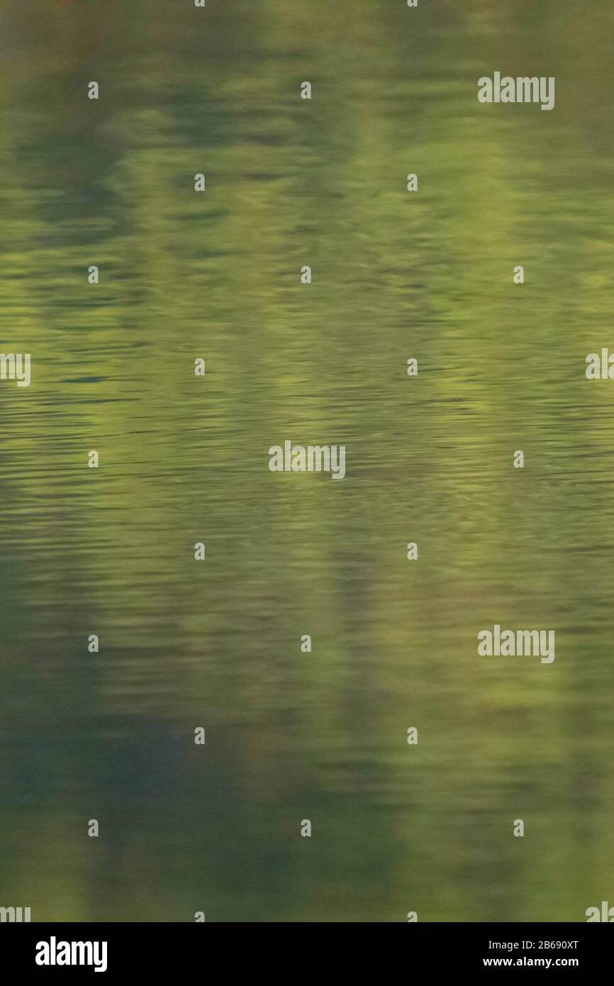 Green abstract reflection of lake Stock Photo - Alamy