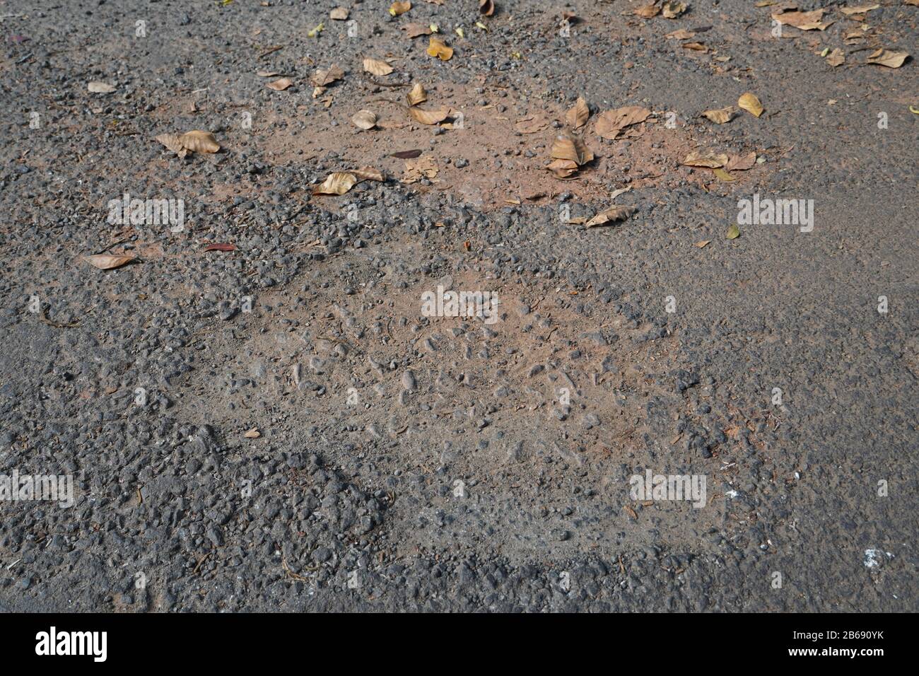 Damaged asphalt pavement road with potholes in rural area. Dry brown ...